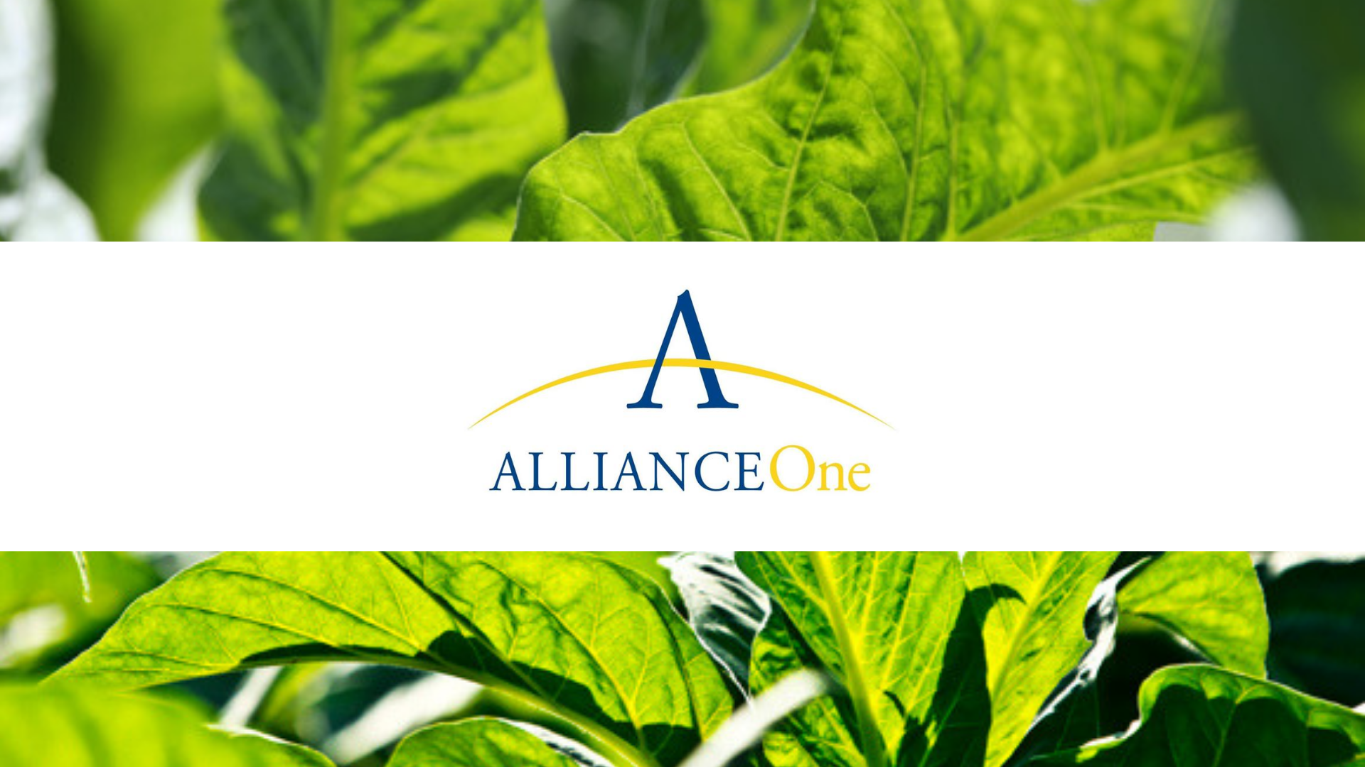 Alliance One recebe aval para certificação ISO 45001 – Editora Gazeta